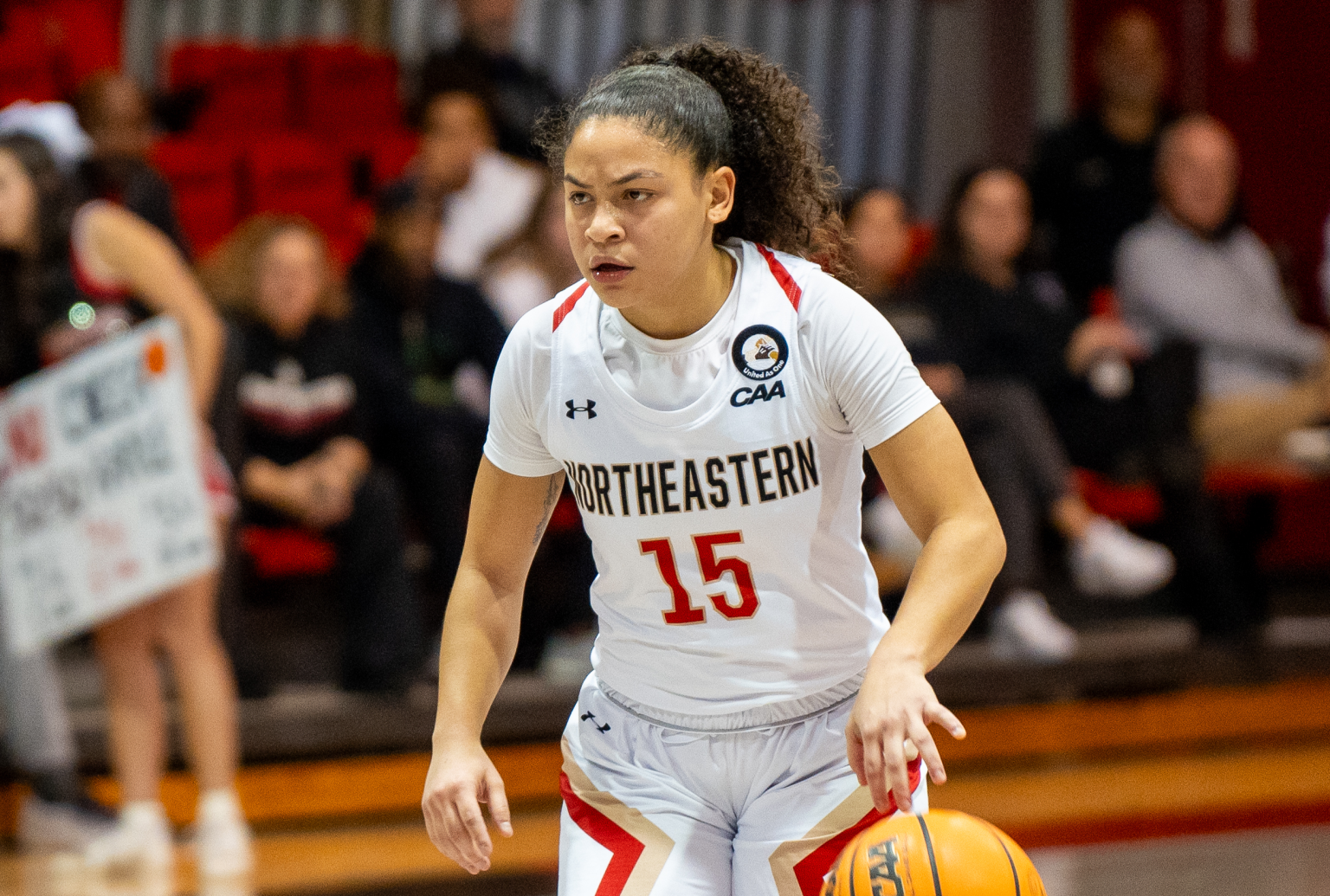 Home - Northeastern Basketball Central